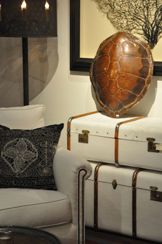 Eye For Design: Decorating With The Whole Tortoise Shell
